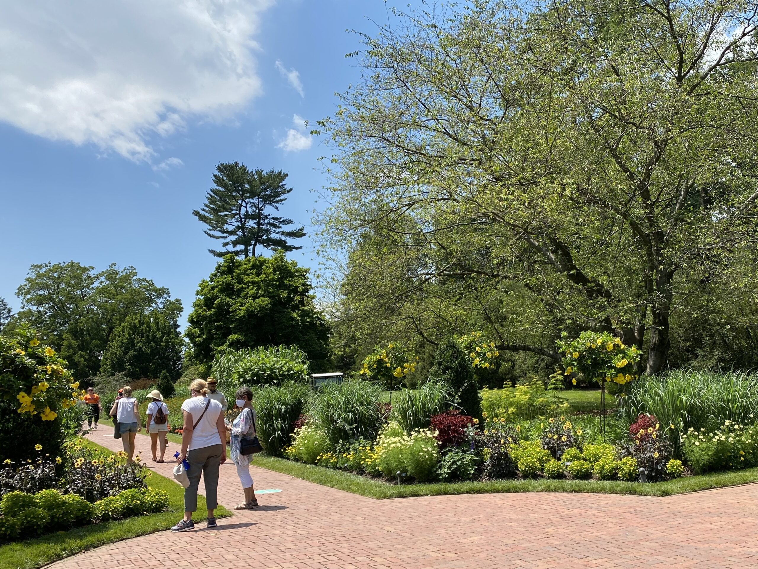 Flower Garden Walk – Side of Culture