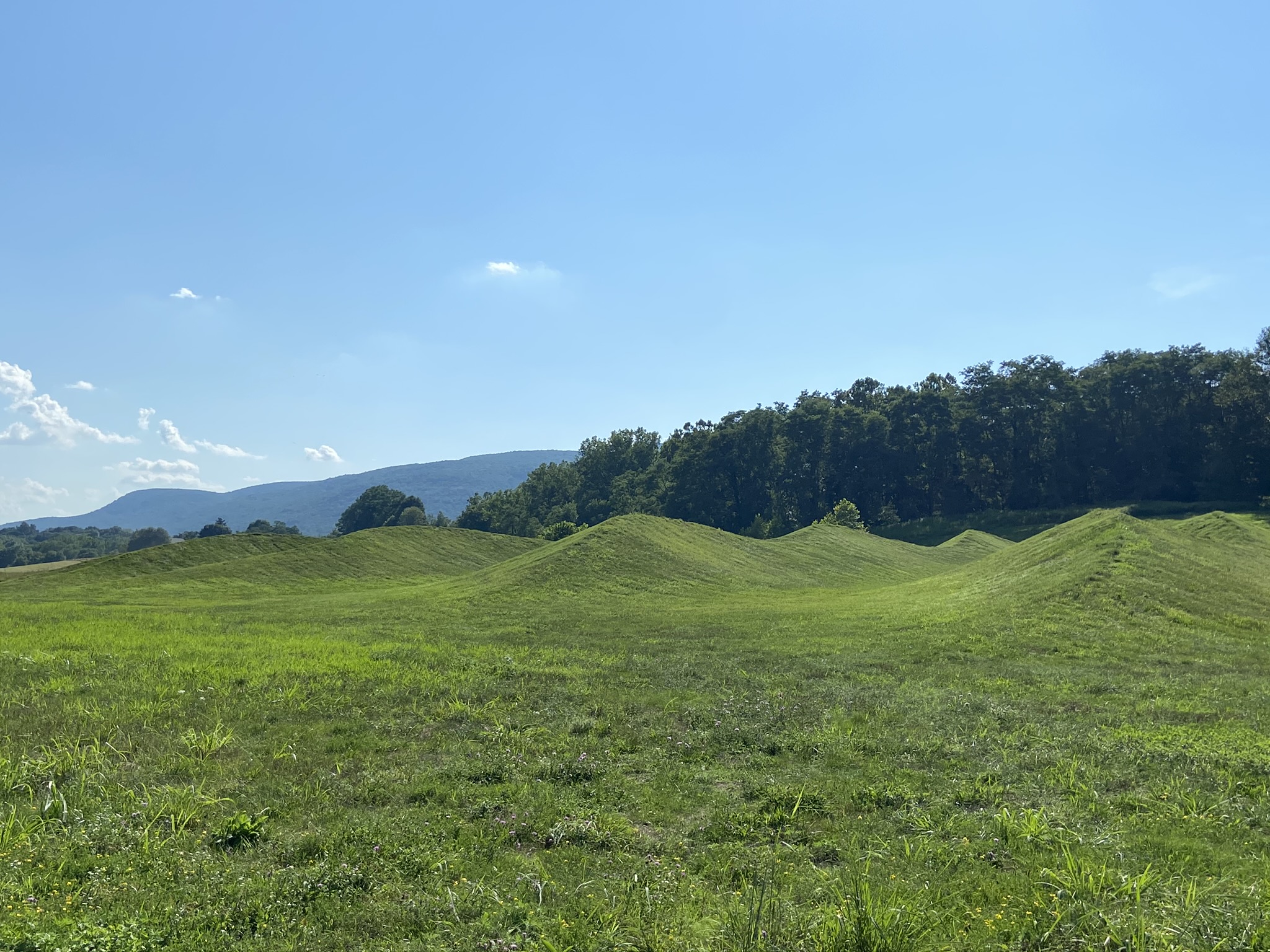 Art in Nature: Storm King Art Center at 60 – Side of Culture