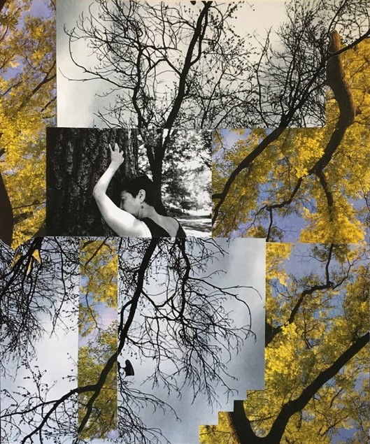 Dance During Covid, Part II: Interviews with Dancers on Survival ...