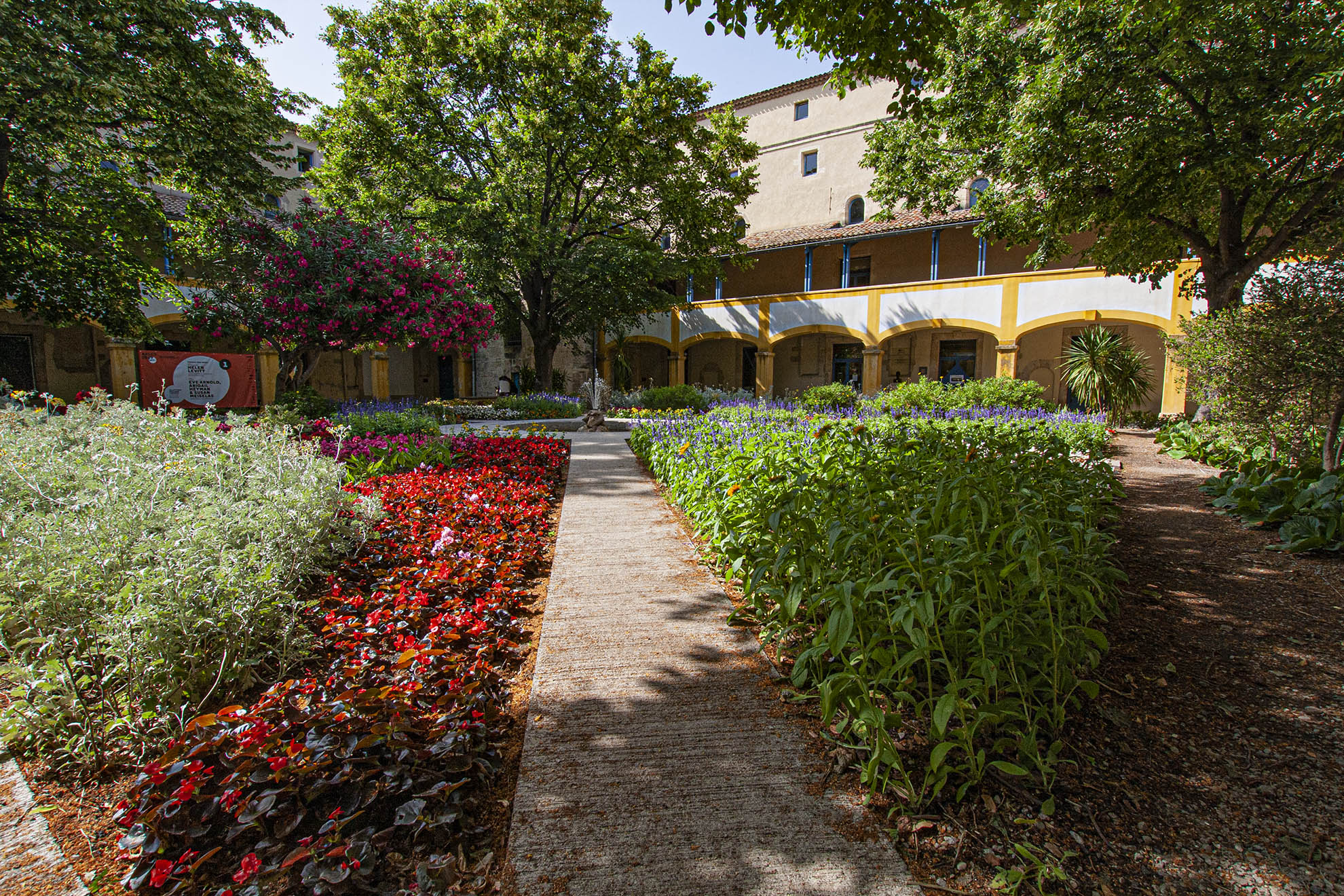 Following Van Gogh in Arles, France – Side of Culture