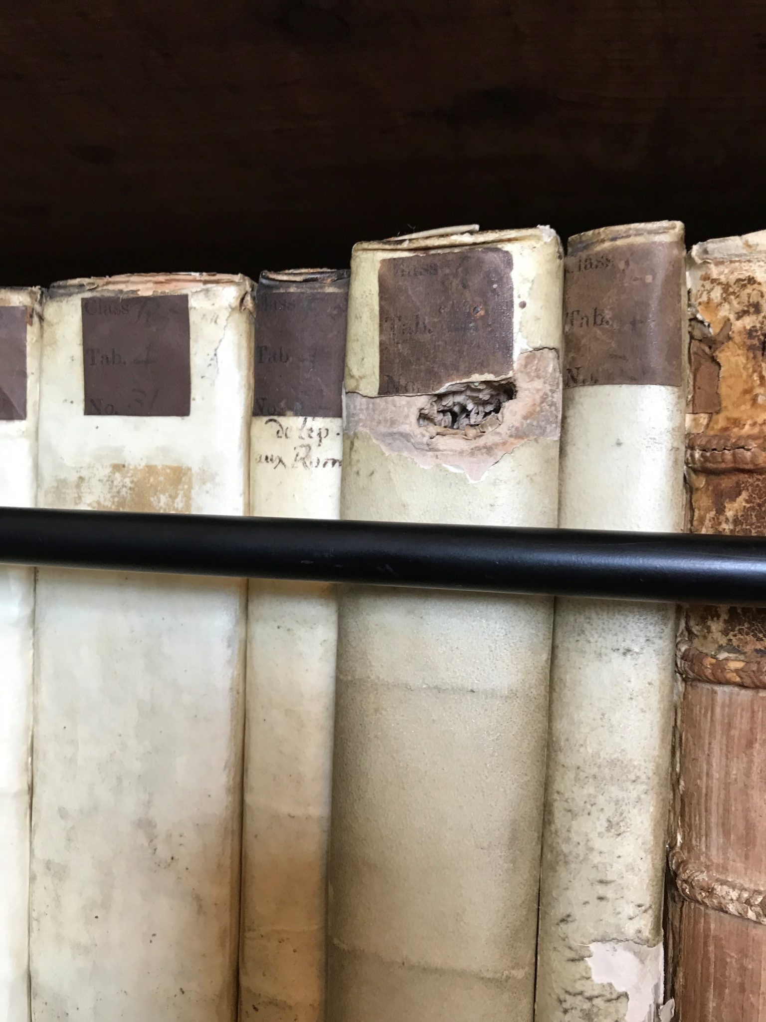 Dublin Libraries – Side of Culture