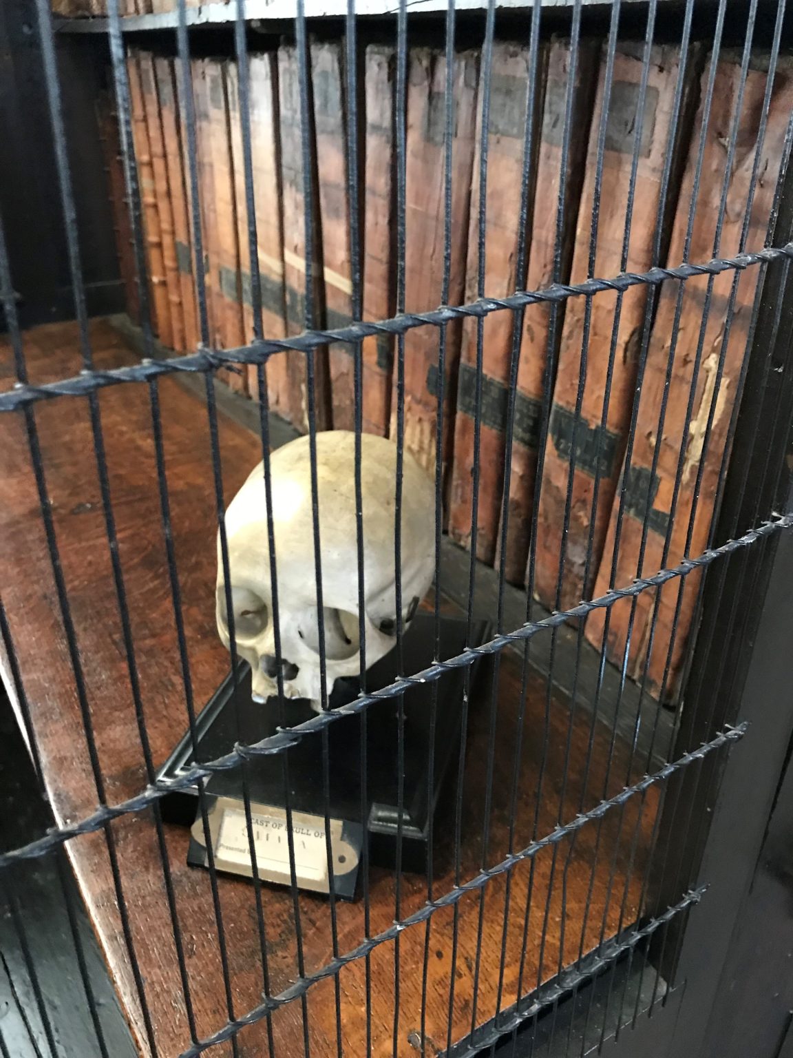 Dublin Libraries – Side of Culture