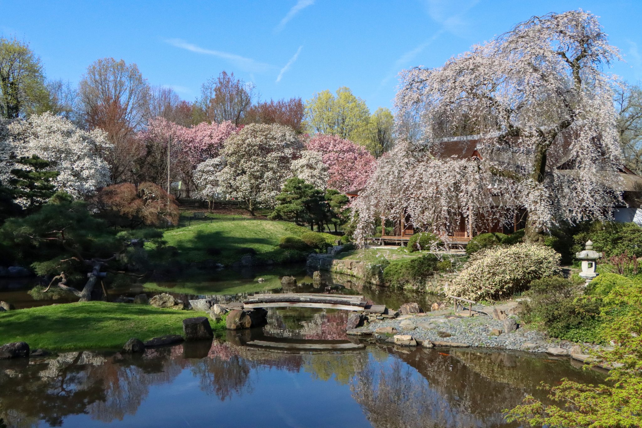 Shofuso: Philadelphia’s Japanese House and Garden – Side of Culture