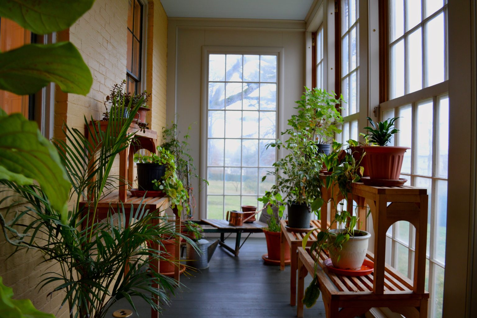 A Center for Poetry: The Emily Dickinson Museum – Side of Culture