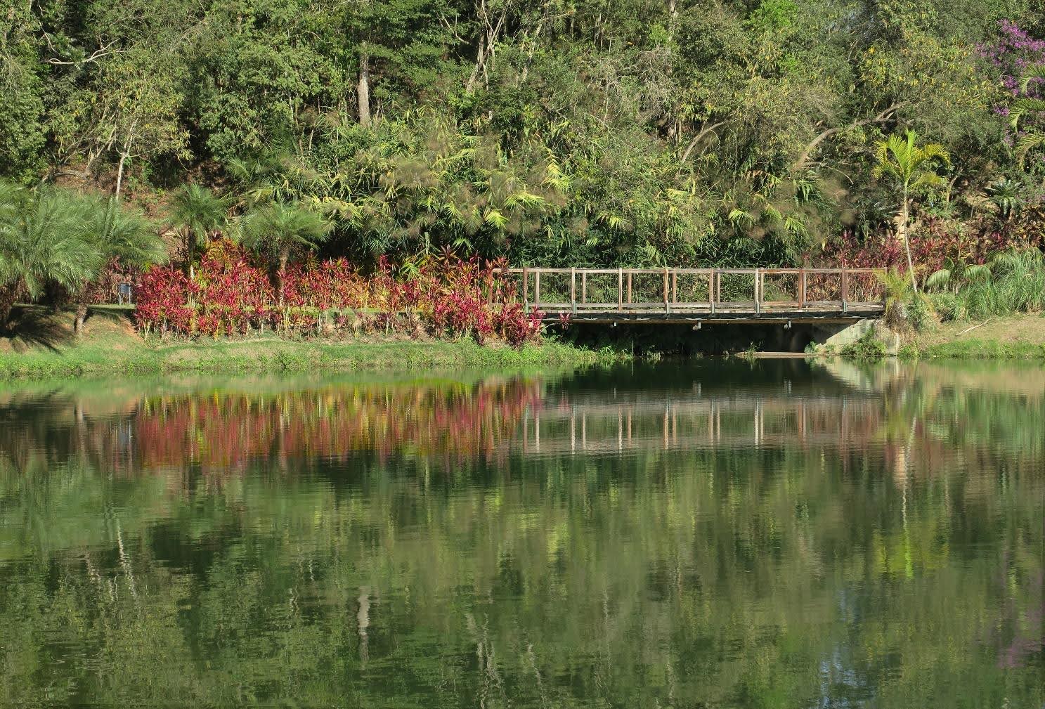 Inhotim Institute: Brazil’s Open-air Museum and Botanical Garden – Side ...