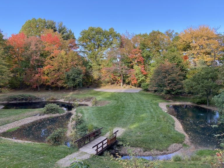 700 Volunteers, 65 Rooms, Glorious Gardens: Akron Ohio’s Stan Hywet ...