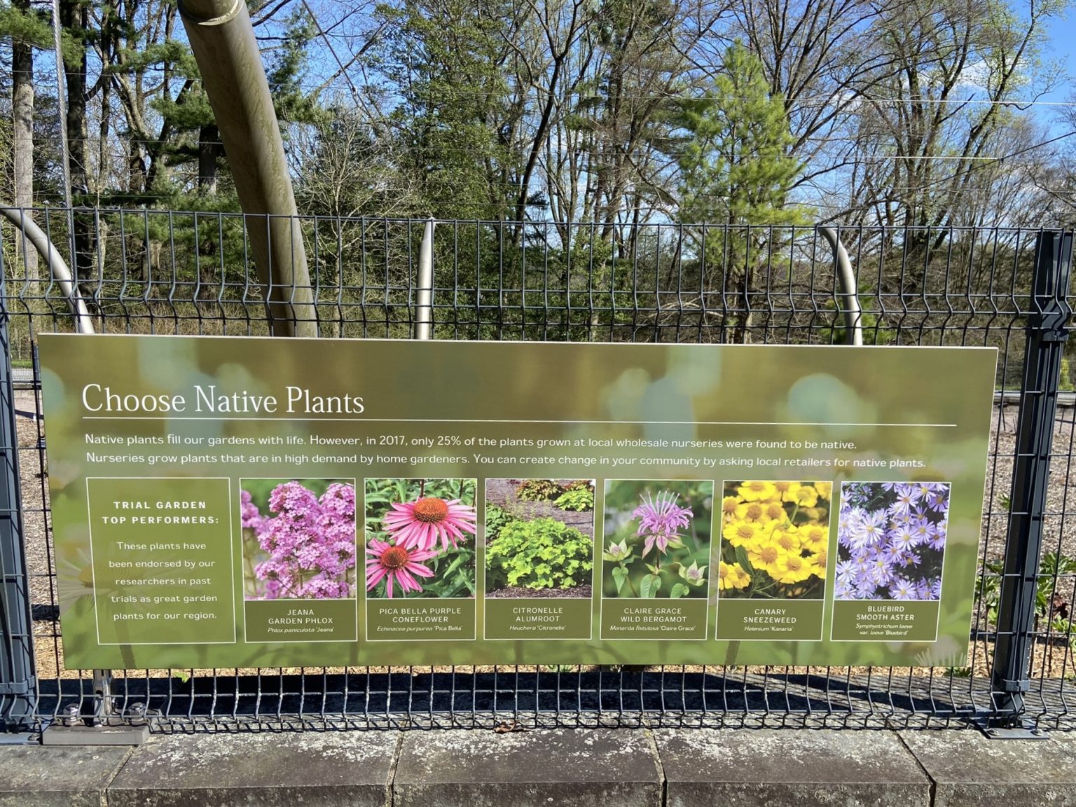 “Plant the Change”: Native Plants at Delaware’s Extraordinary Mt. Cuba ...