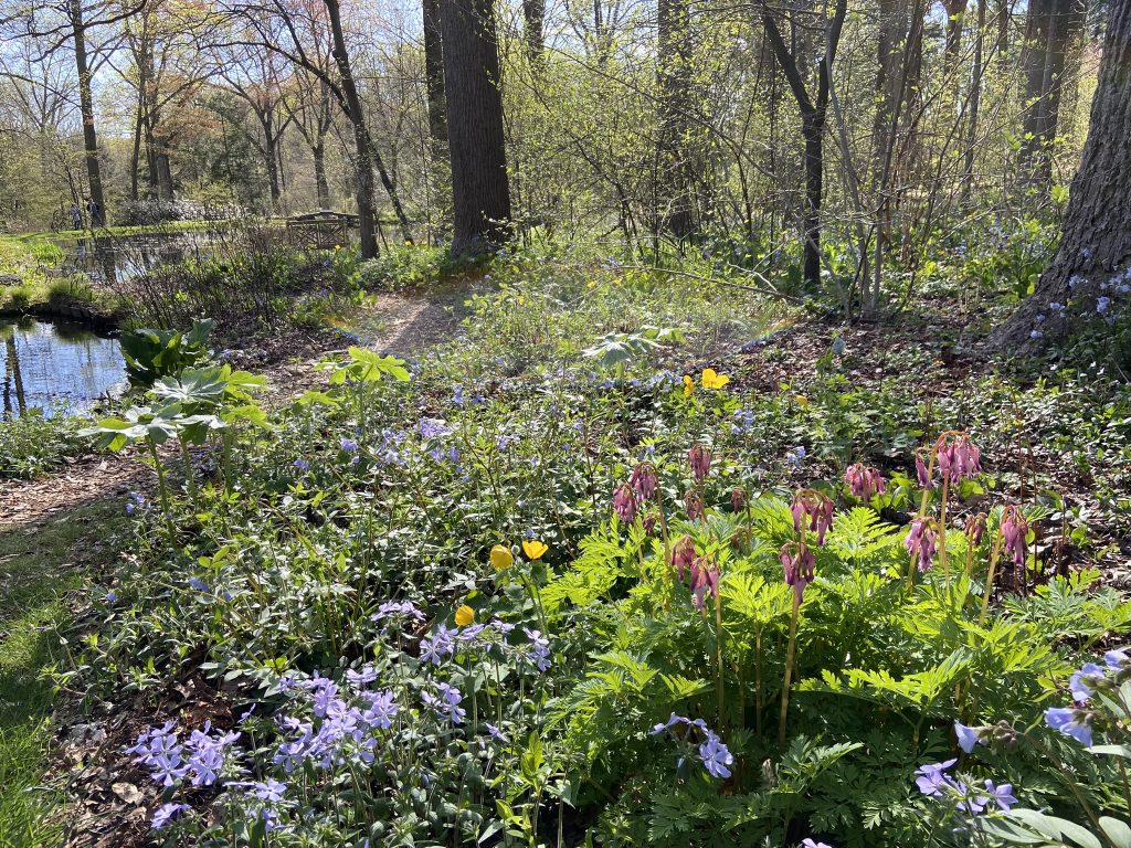“Plant the Change”: Native Plants at Delaware’s Extraordinary Mt. Cuba ...