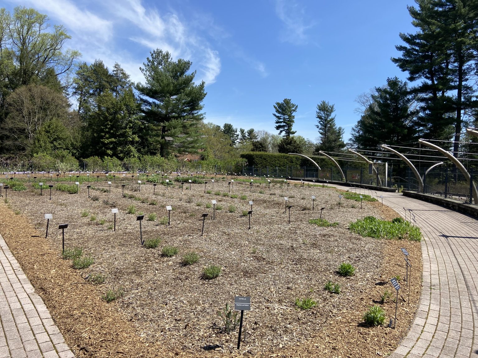 “Plant the Change”: Native Plants at Delaware’s Extraordinary Mt. Cuba ...