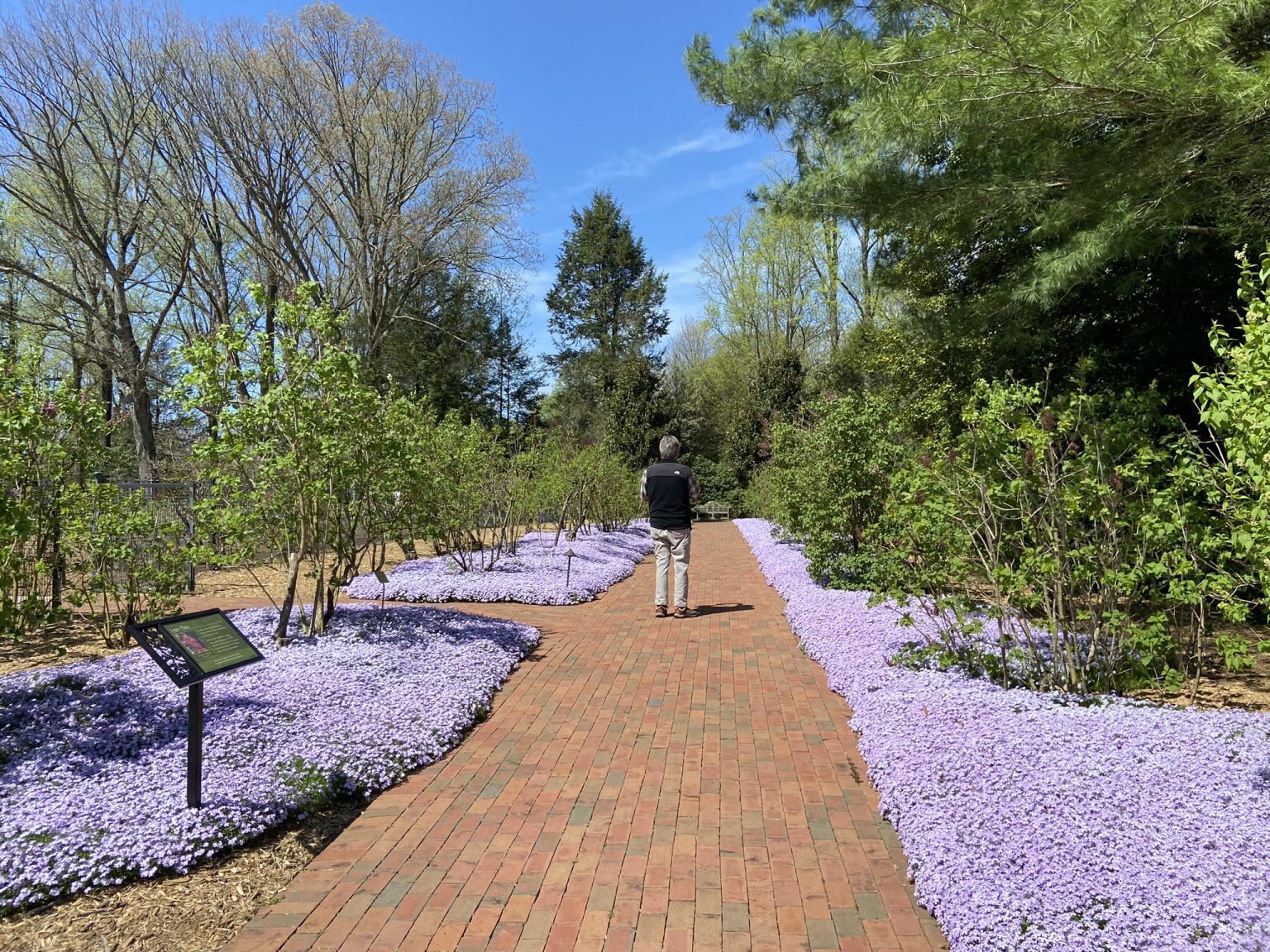 “Plant the Change”: Native Plants at Delaware’s Extraordinary Mt. Cuba ...