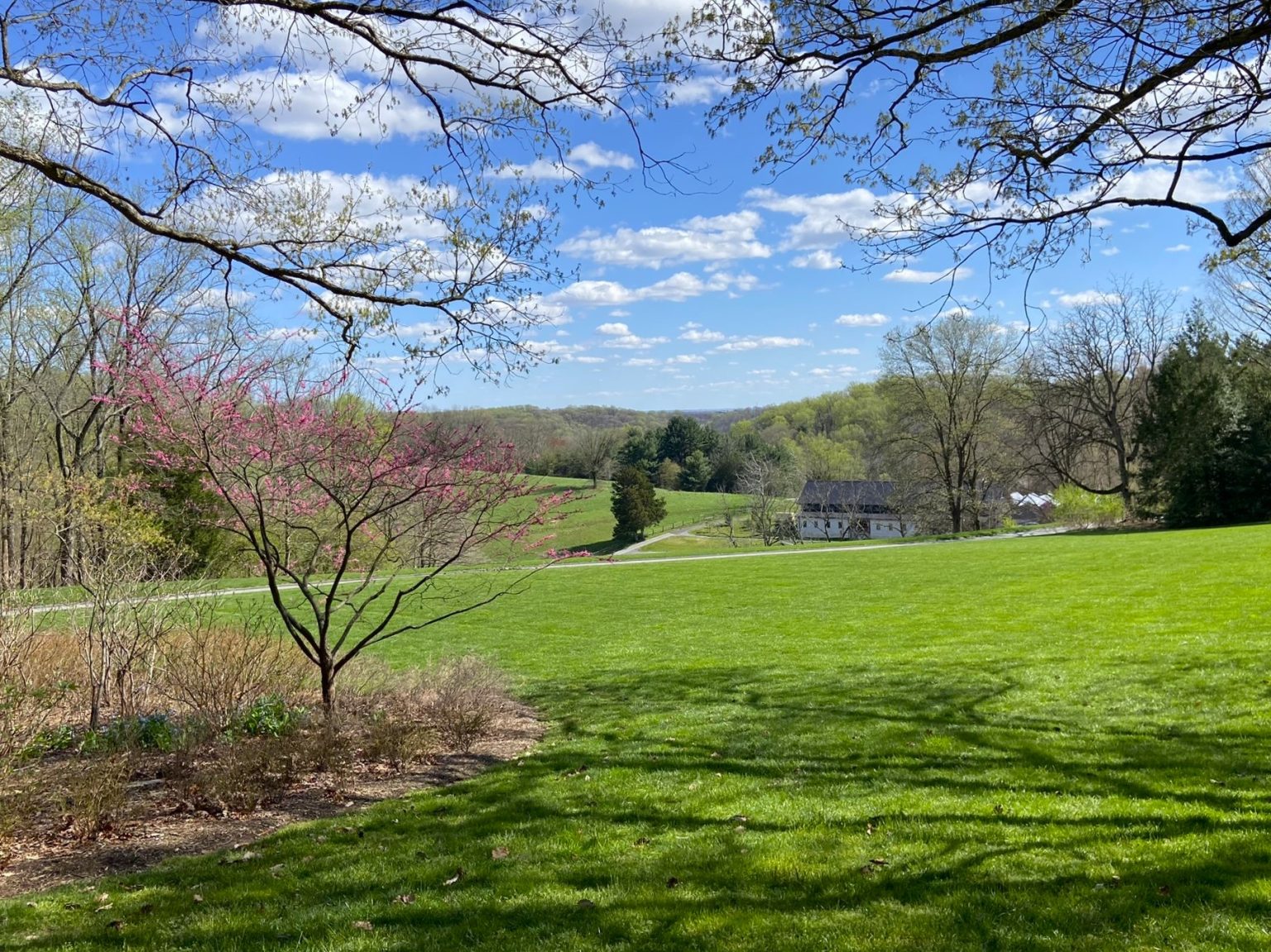 “Plant the Change”: Native Plants at Delaware’s Extraordinary Mt. Cuba ...