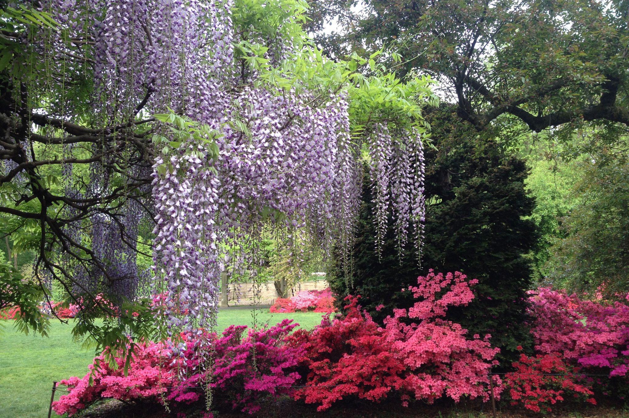 The Brooklyn Botanic Garden: A Vast and Bountiful Treasure Serving New ...