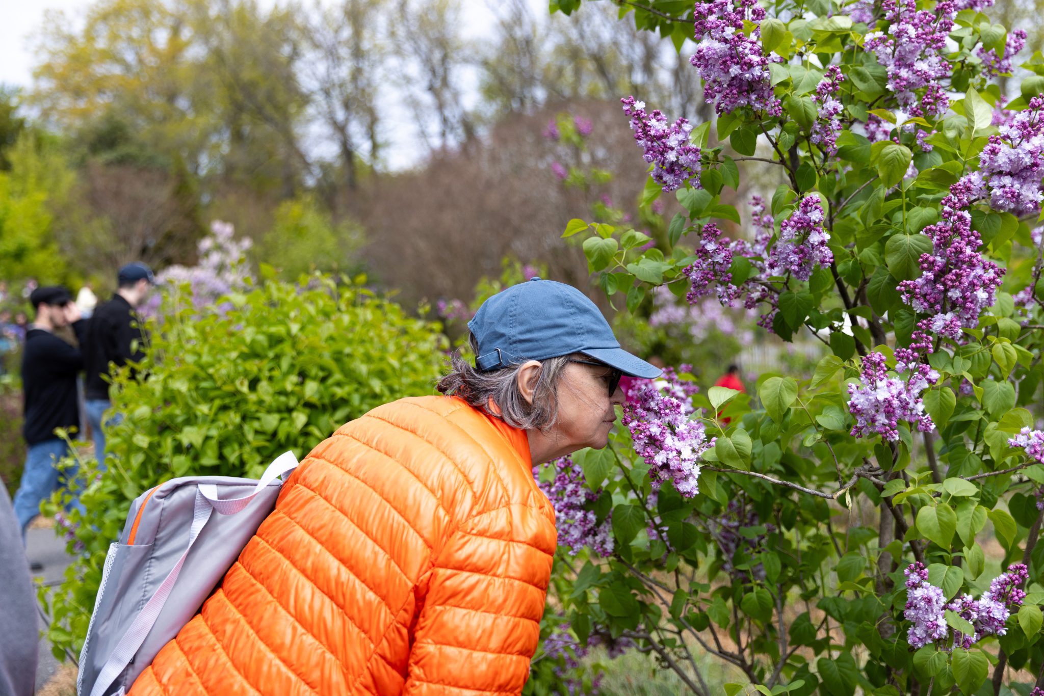 The Brooklyn Botanic Garden: A Vast and Bountiful Treasure Serving New ...