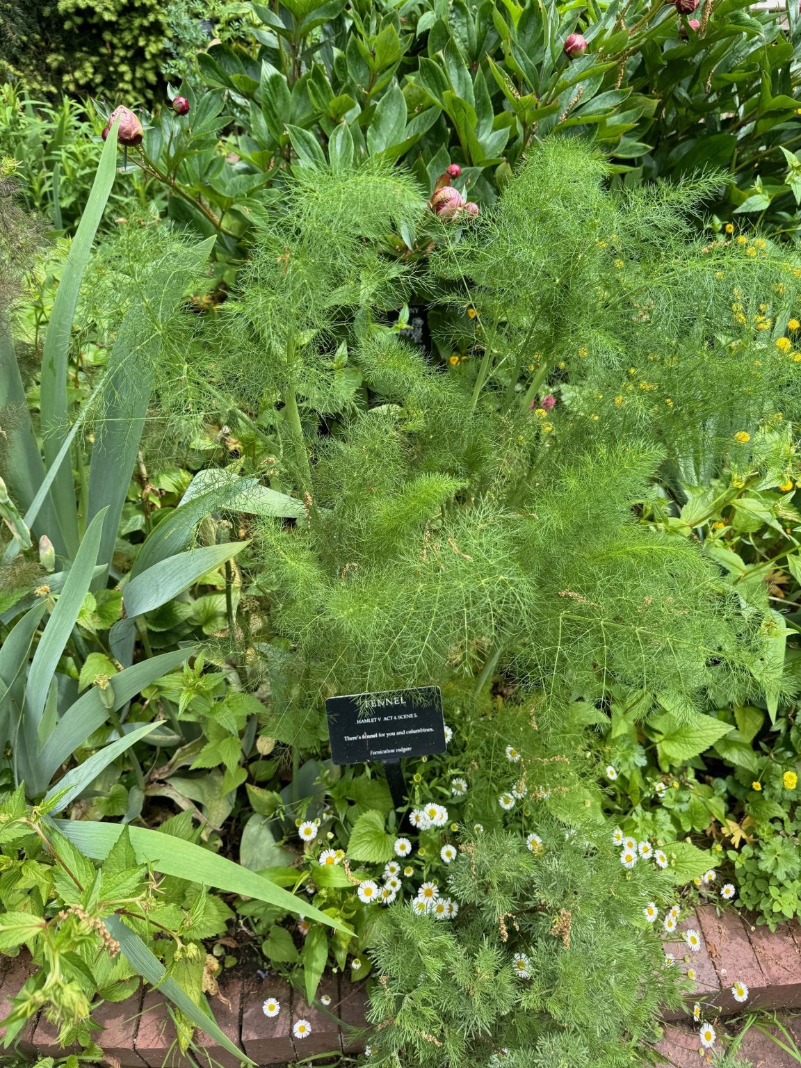 The Brooklyn Botanic Garden: A Vast and Bountiful Treasure Serving New ...