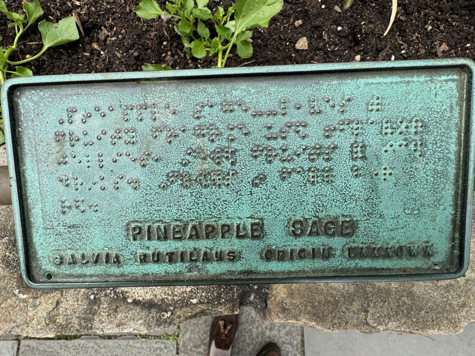 The Brooklyn Botanic Garden: A Vast and Bountiful Treasure Serving New ...