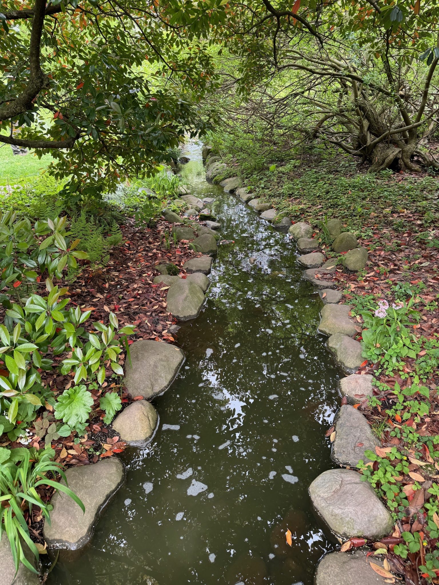 The Brooklyn Botanic Garden: A Vast and Bountiful Treasure Serving New ...