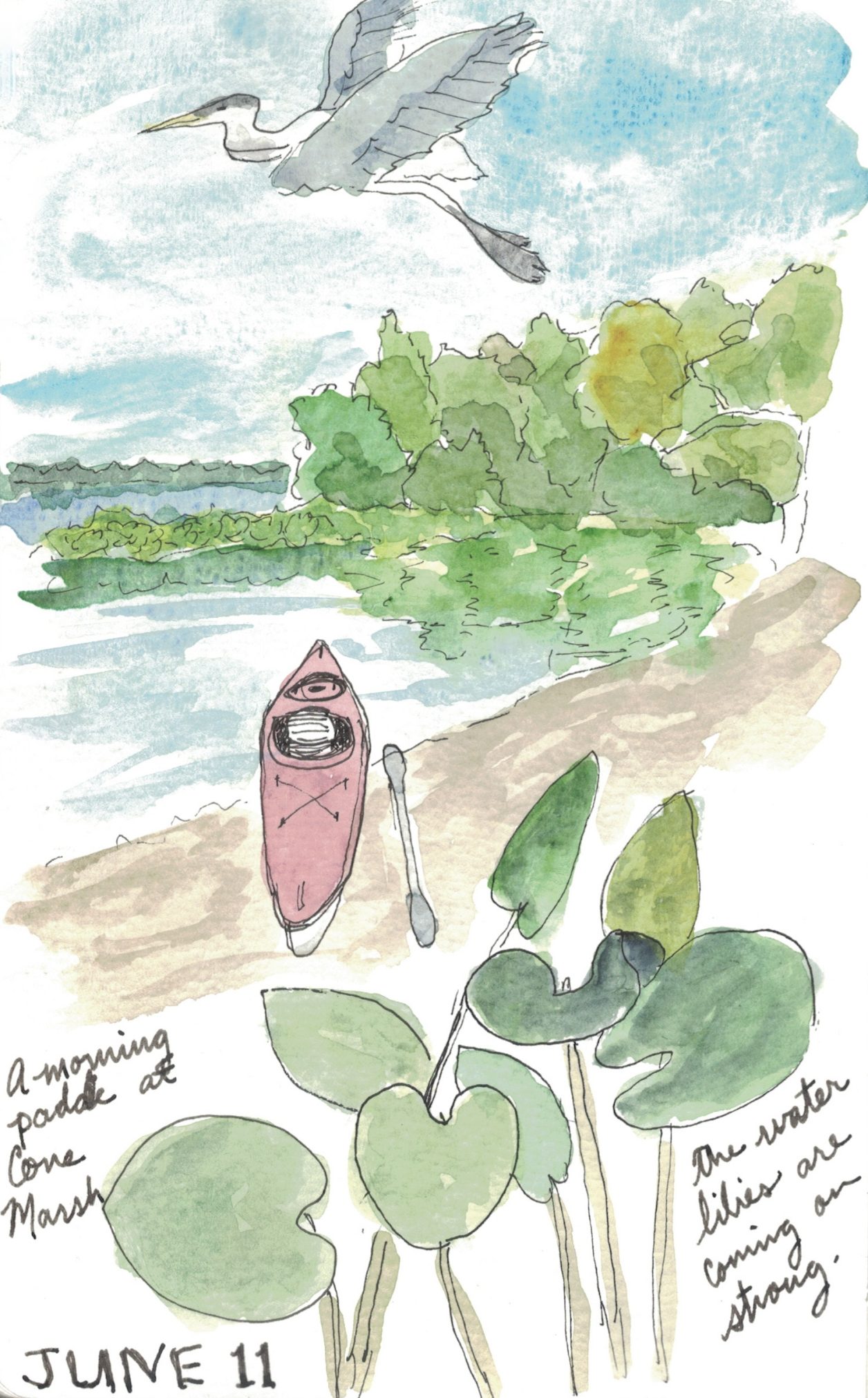 Cone Marsh in Iowa City – Side of Culture