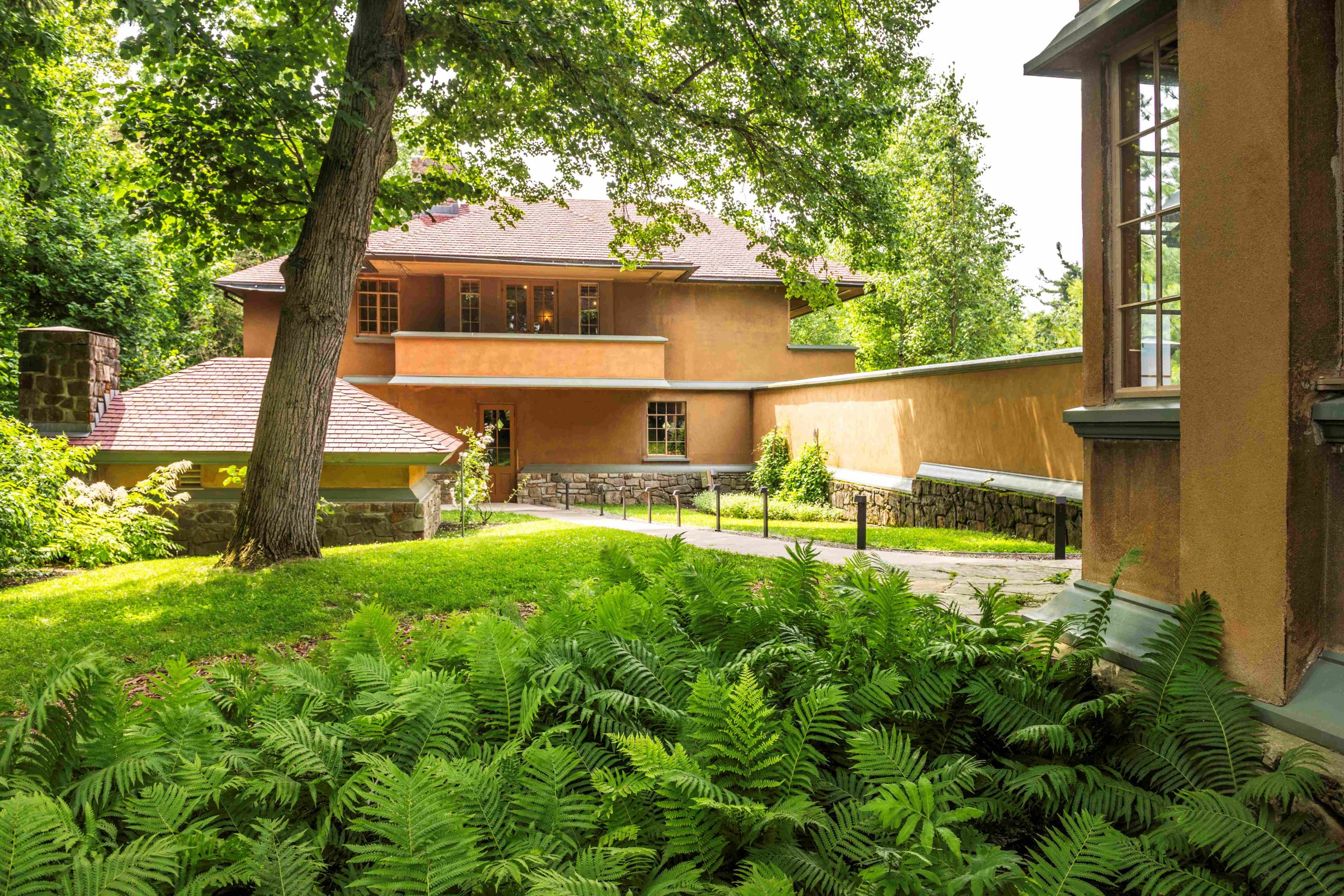 Graycliff ferns and Foster House Credit Matthew Digati – Side of Culture
