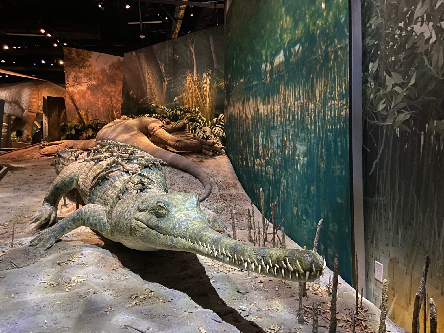 Dinosaurs, Reptiles, and More: Edelman Fossil Park & Museum Opens in ...